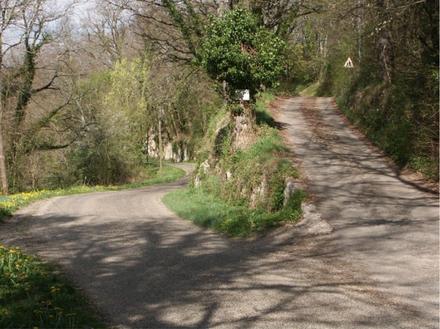 Promenade dans les bois.