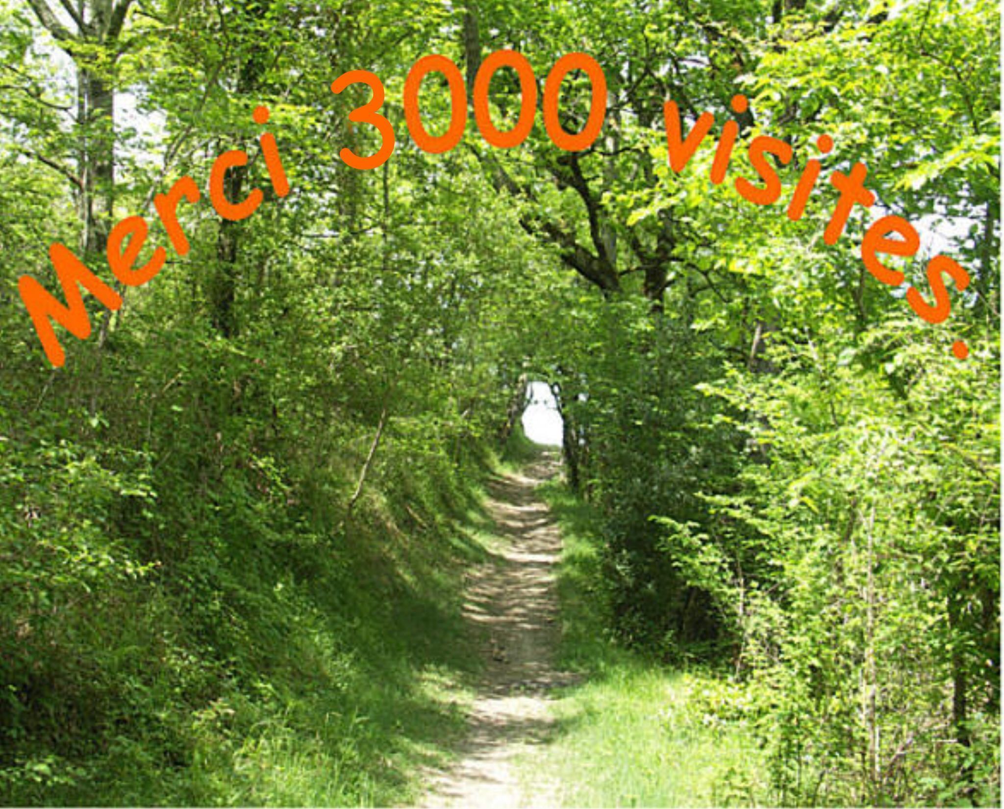 Promenade dans les bois.